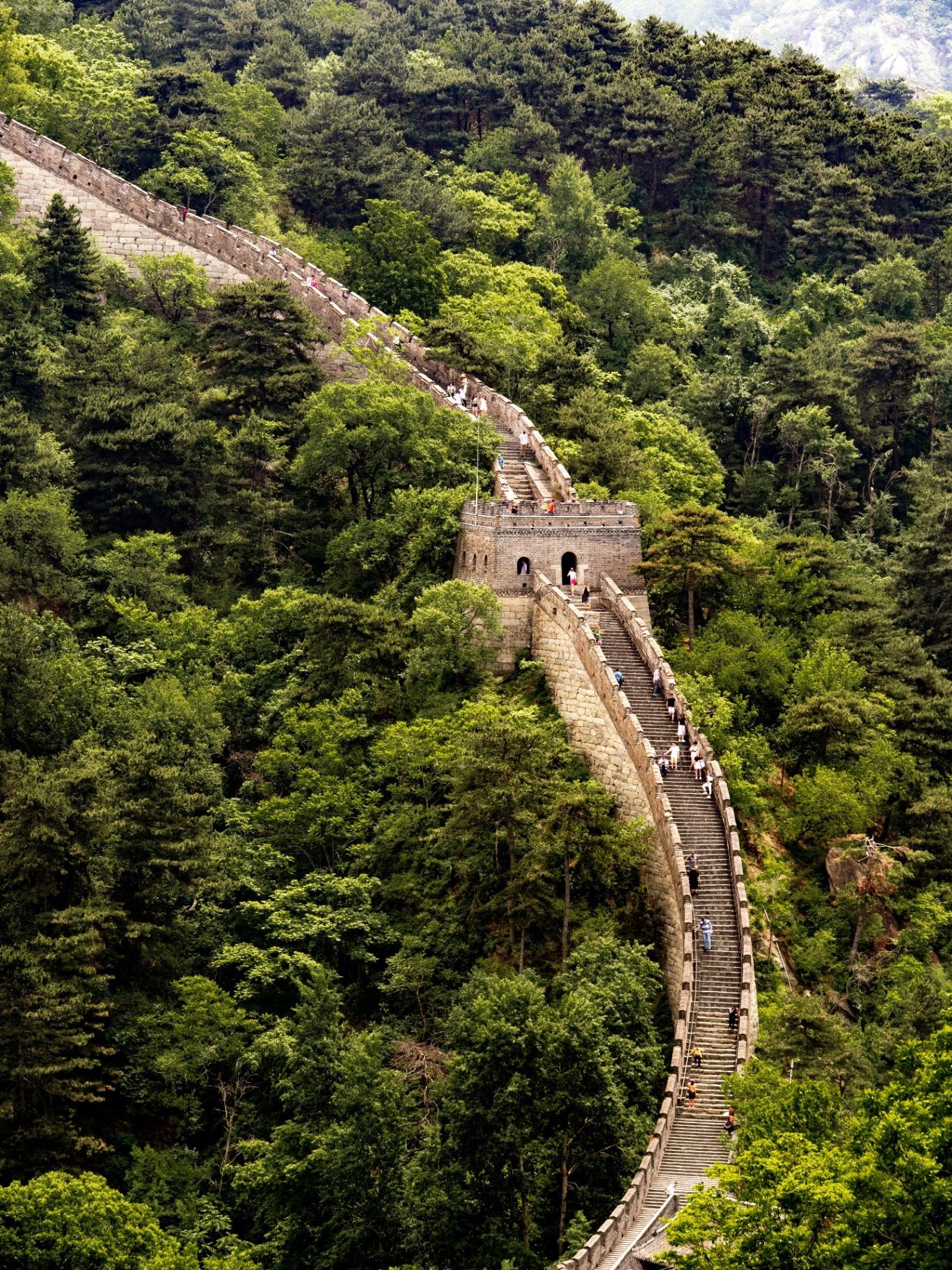 Best Festival Destinations in the World in 2026 | Mindless Traveller